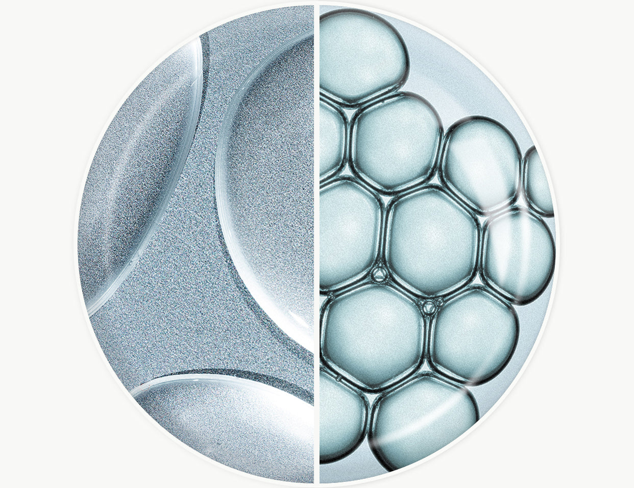 Glycerin Vs. Hyaluronic Acid - Which Is Right For Your Skin? – Prequel