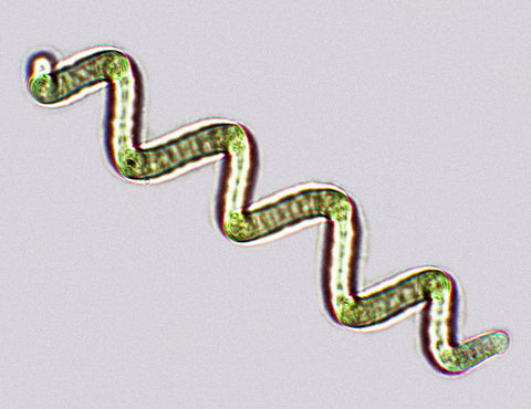 Skin Notes - The Prequel Skincare Blog – PREQUEL